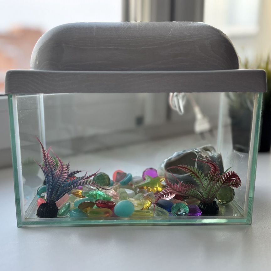 Аквариум для рыбок 5 л