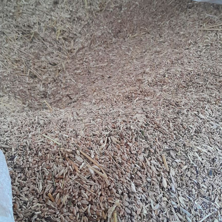 Зерно отходы