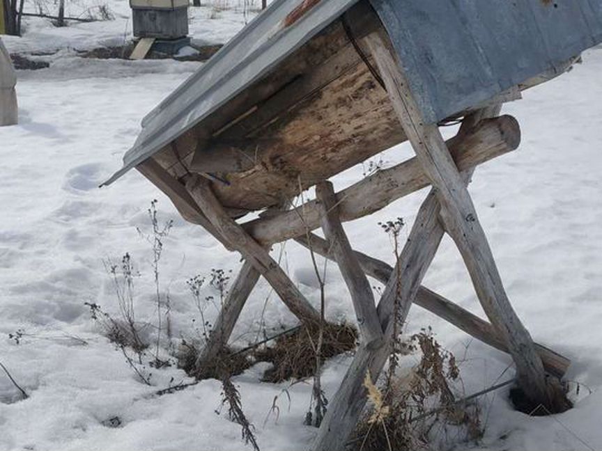 Колода для пчел