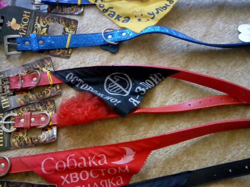 Ошейники и одежда для собак