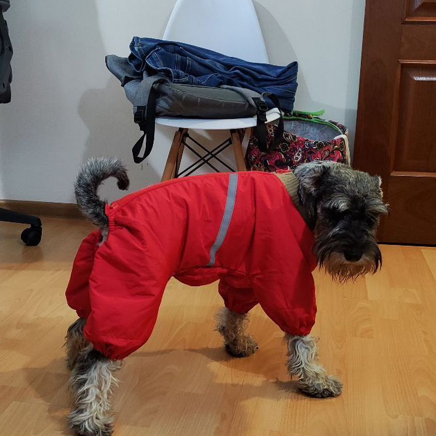 Зимний комбинезон для собаки