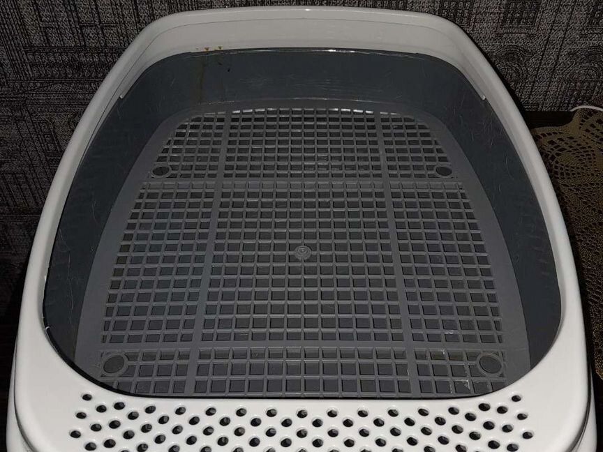 Лотки для вашего питомца мяч, свинка щенку котенку