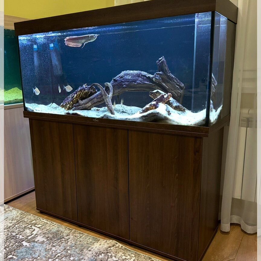 Аквариум Биодизайн