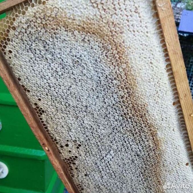 Пчелы и пчелопродукты