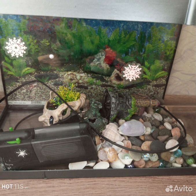 Аквариум со всеми прибамбасами