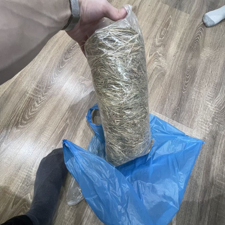 Сено для кроликов