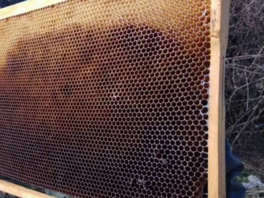 Сушь для пчел дадан, рут