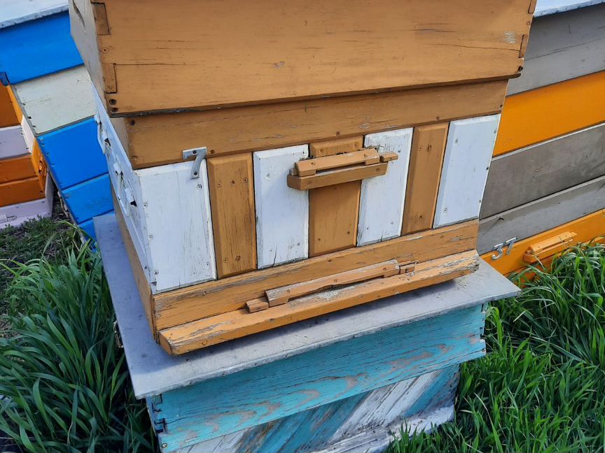 Улей для пчел бу