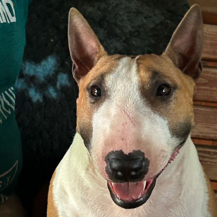 Мини бульки