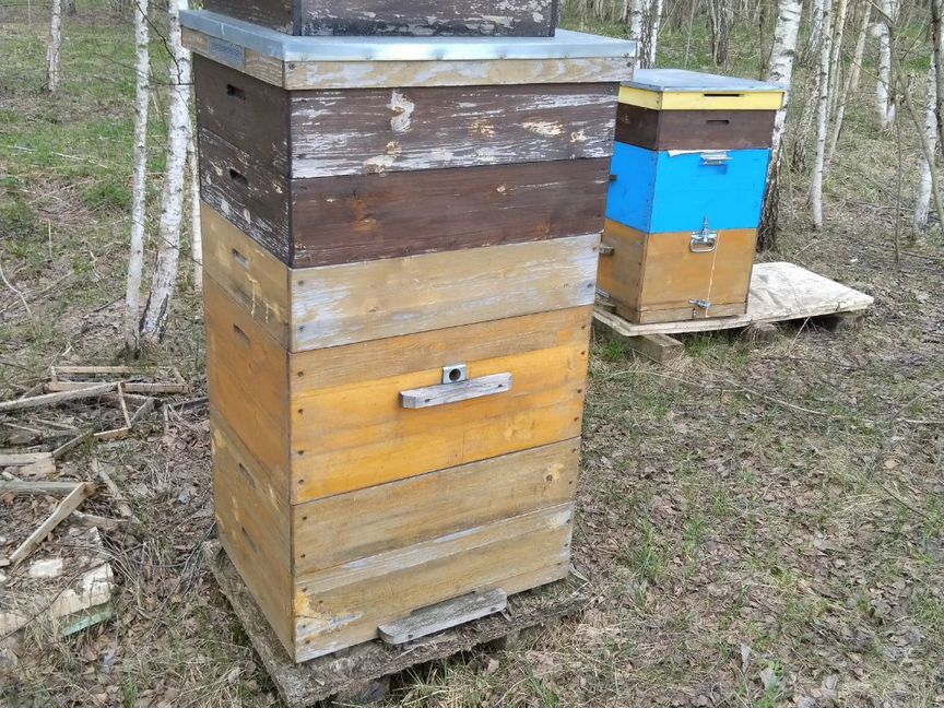 Улей для пчёл, подставка под ульи