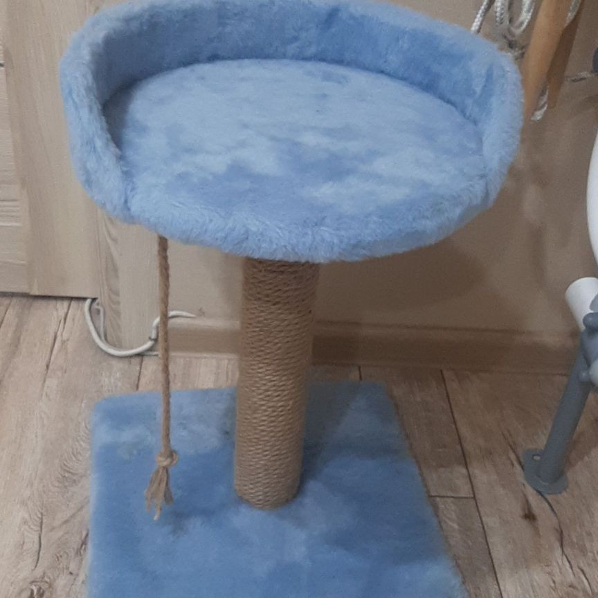 Когтеточка