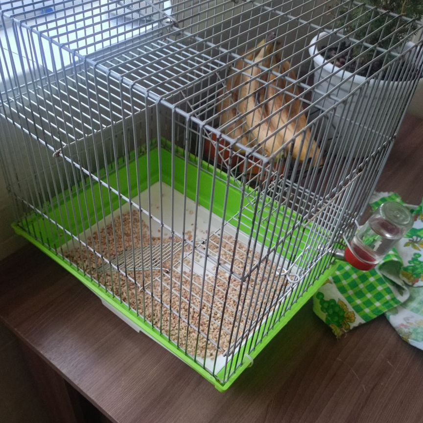 Клетка для грызунов