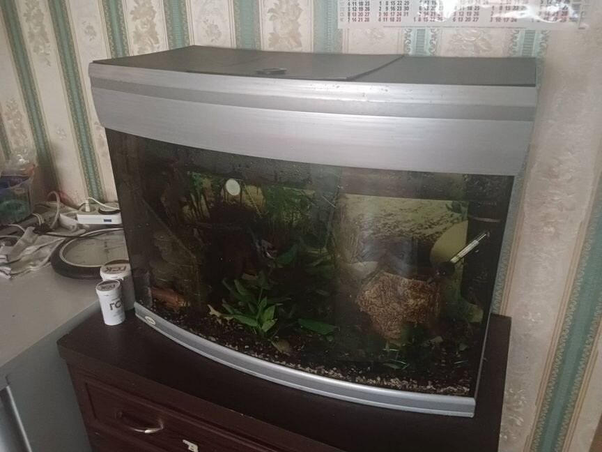 Аквариум с рыбками