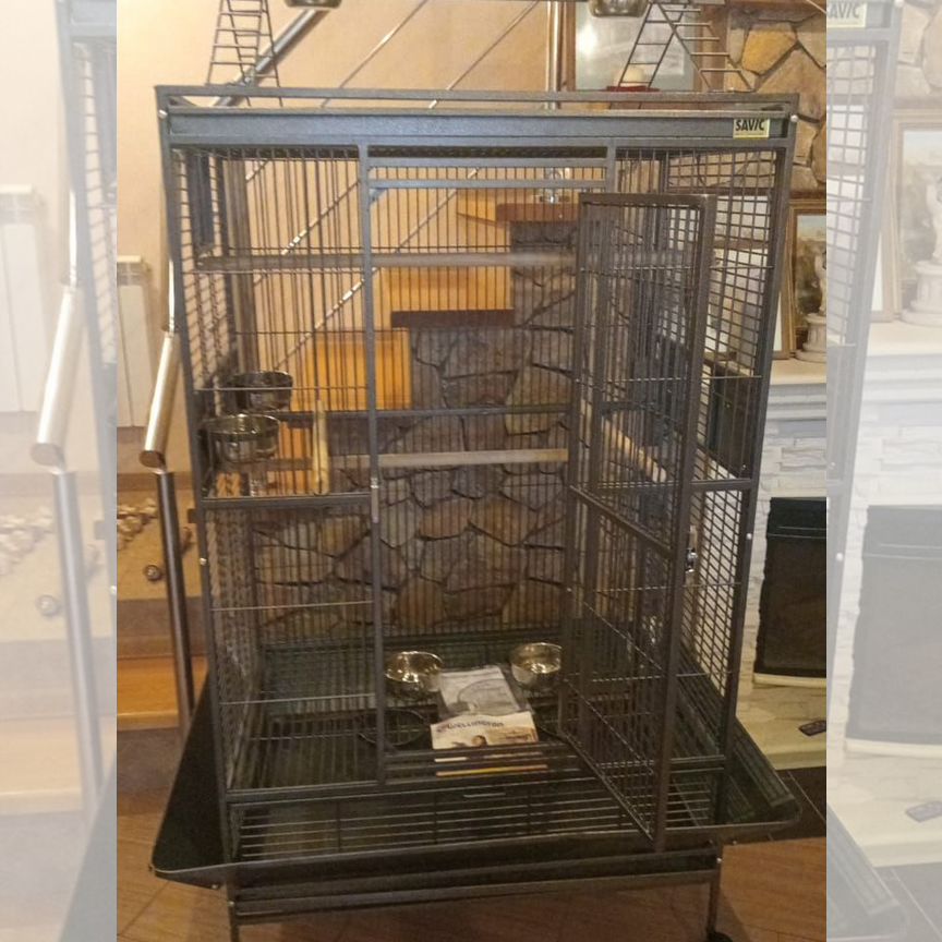 Клетка