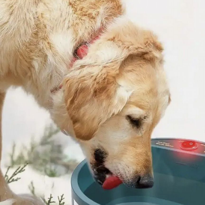 Миска с подогревом новая