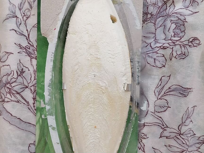 Сепия новая