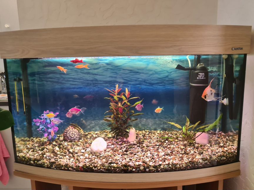Аквариум с рыбками