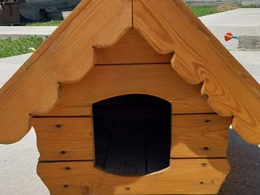 Собачья будка