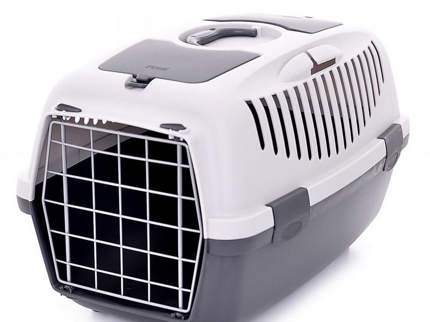 Переноска в аренду