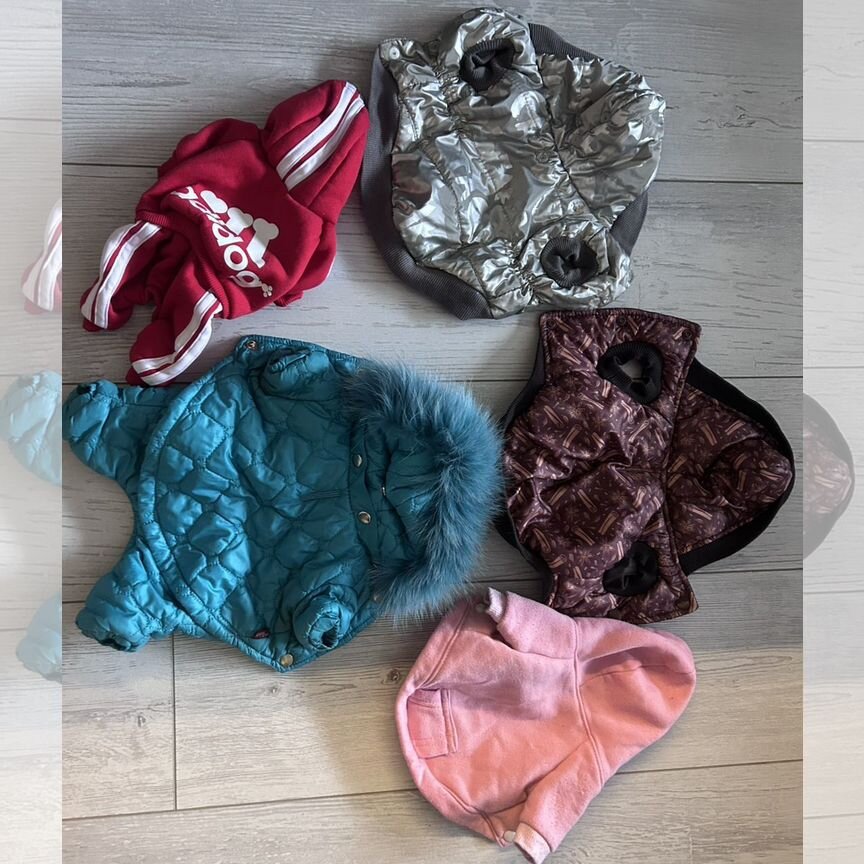 Одежда для маленьких собак