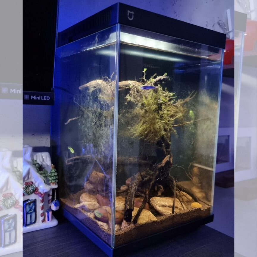 Аквариум Xiaomi SMART Fish Tank MYG200 10L