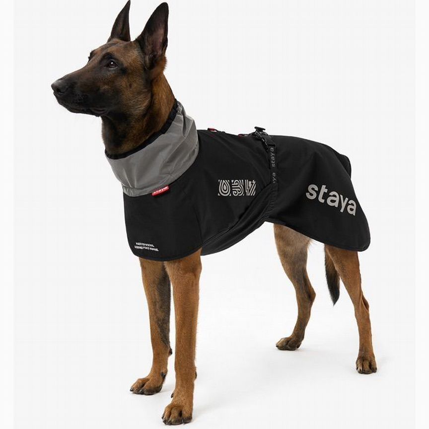 Дождевик для собаки staya