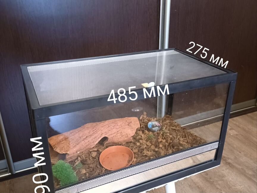 Террариум + принадлежности