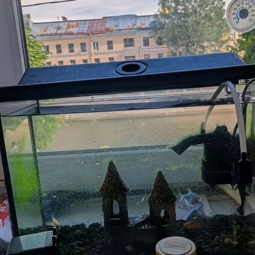 Отдам аквариум с рыбками