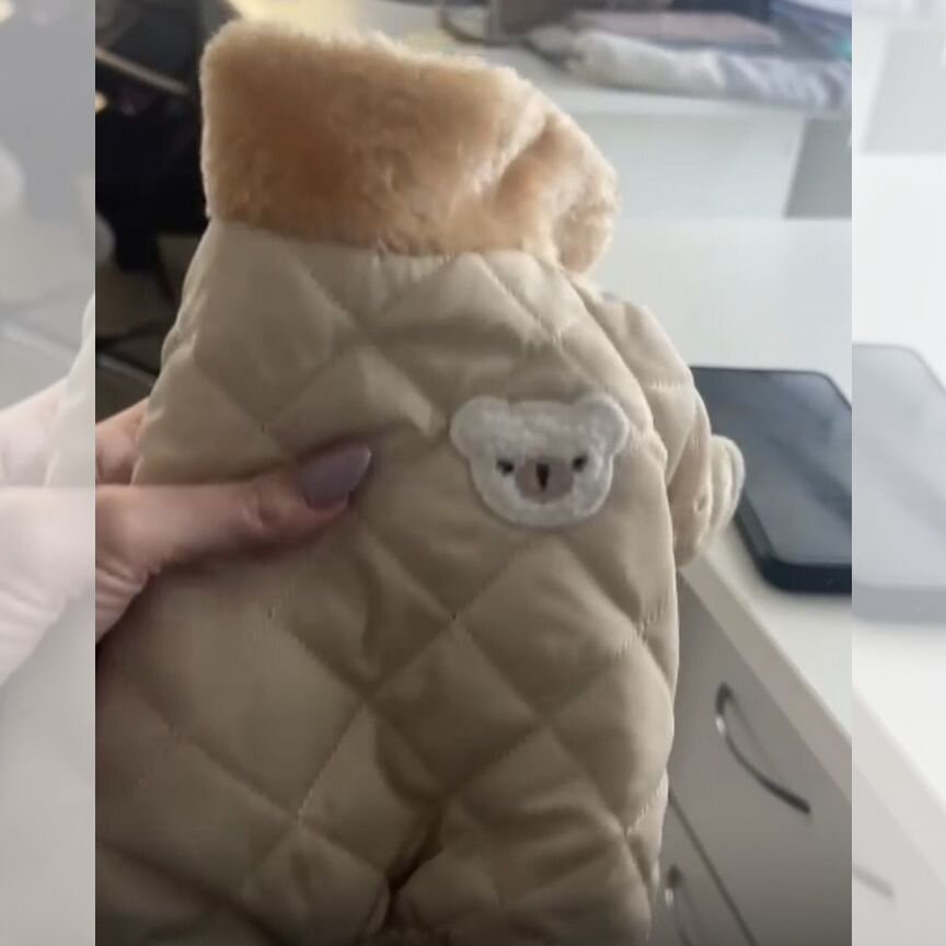 Курточка для мини йорка