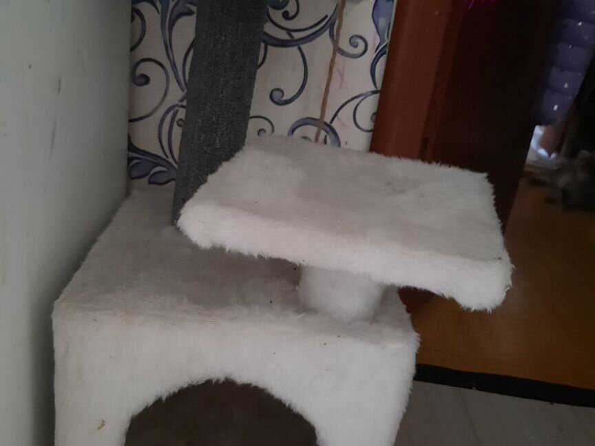 Отдам домик для кошки