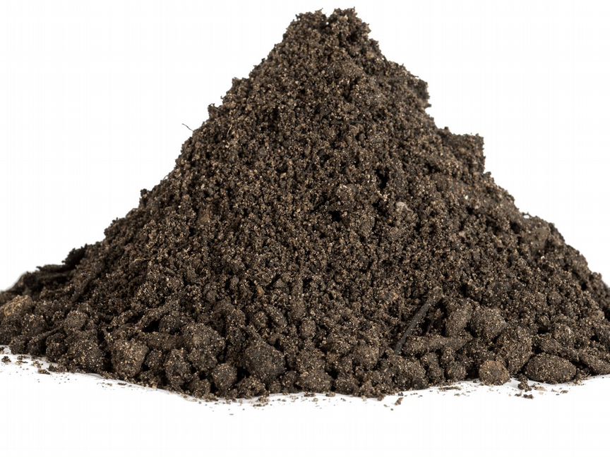 Жмых рапса и рыжик