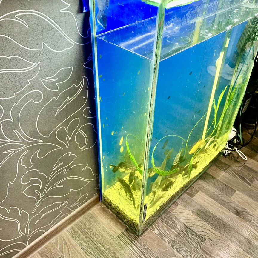 Узкий аквариум 210 литров с рыбой