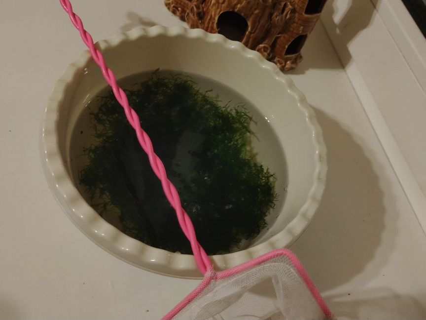 Все для аквариума