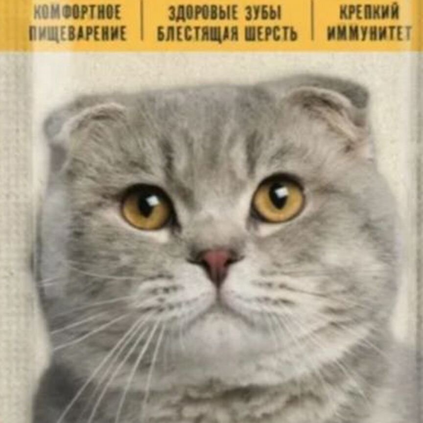Влажный корм для кошек