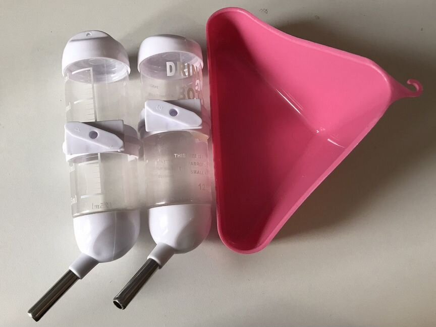 Поилка для грызунов, туалет