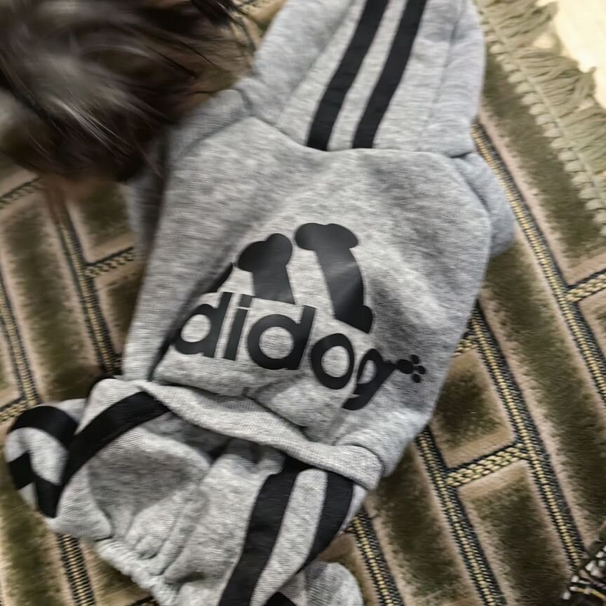 Вещи для маленьких собак xs