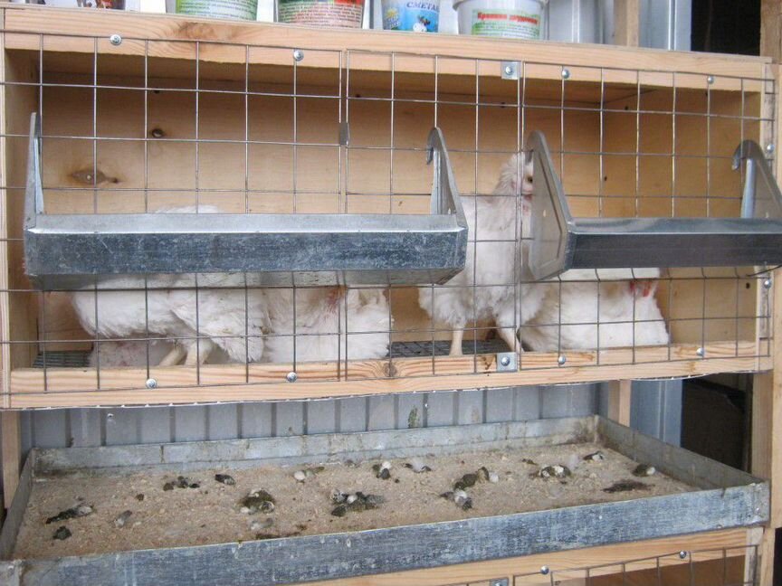 Клетка для бройлеров Премиум