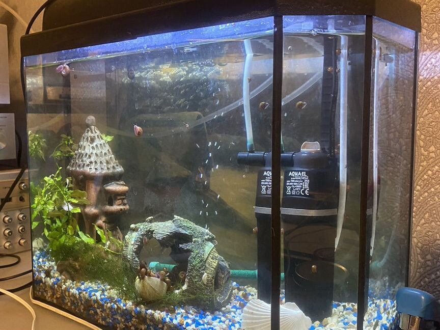 Аквариум20л