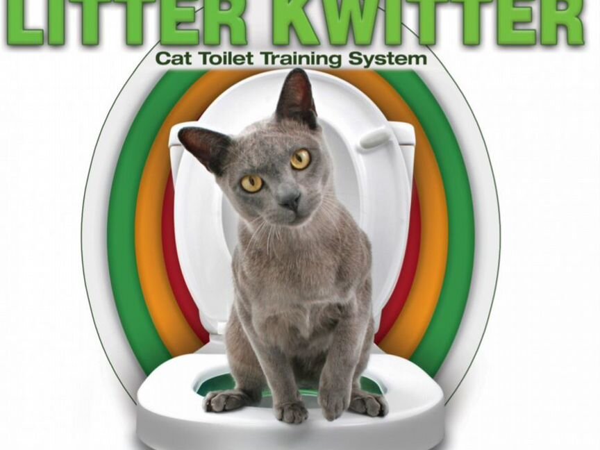 Система приучения котов и кошек к унитазу (видео+)