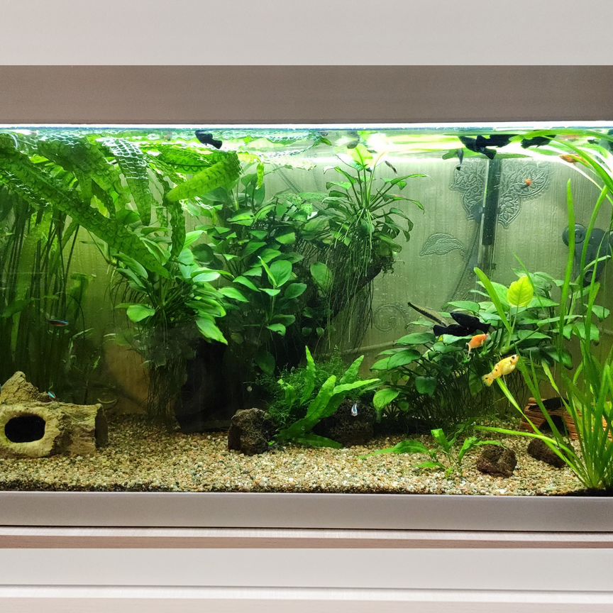 Аквариум eheim 180 л