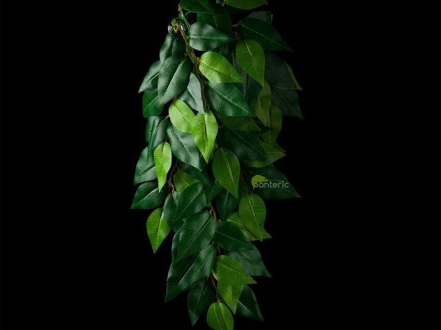Навесное Искусственное растение Exo-Terra Ficus