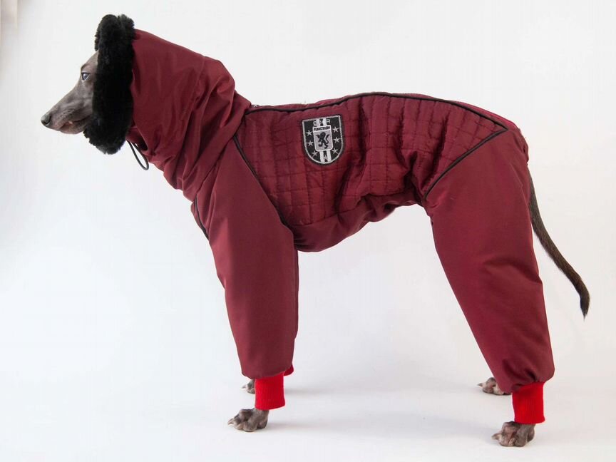 Комбинезон для левретки