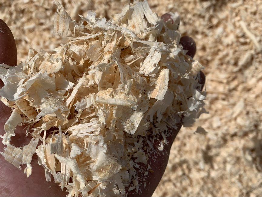 Древесная стружка бесплатно