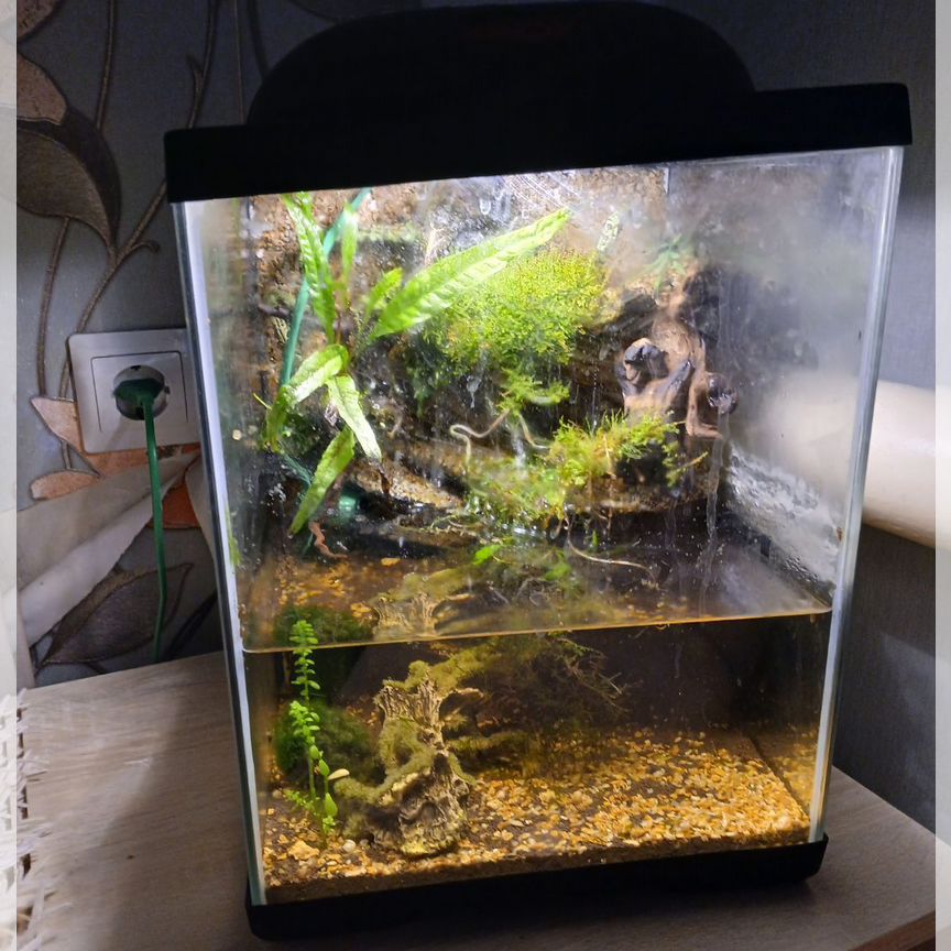 Аквариум, куб