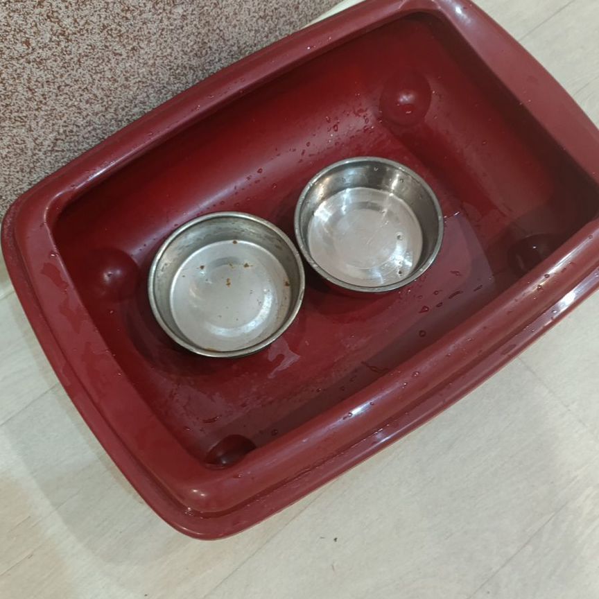 Лоток и миски для кошек