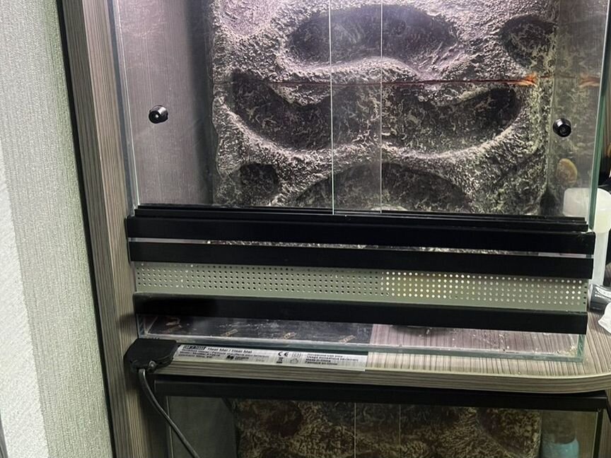 Террариум для рептилий бу