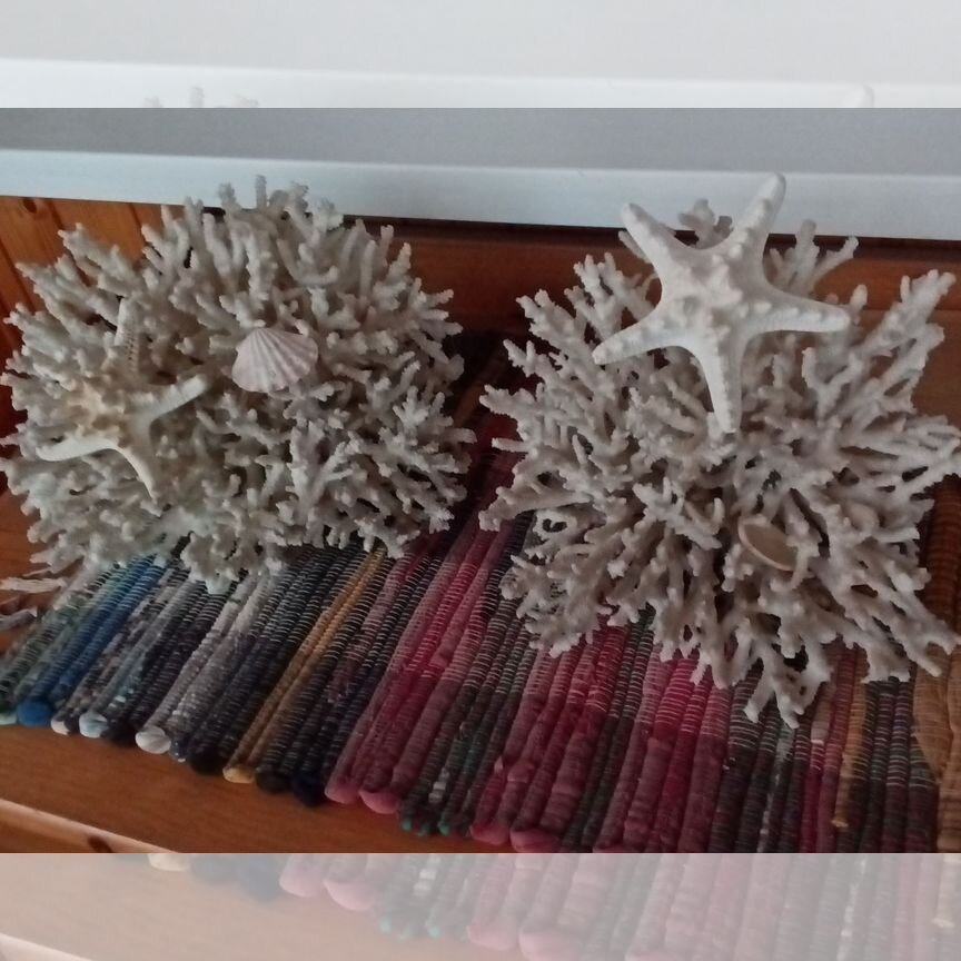 Большие кораллы