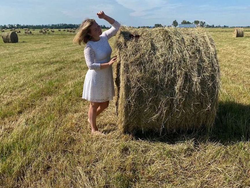 Сено. Асока хлапчятник