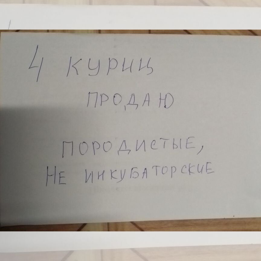 Мясояичные куры