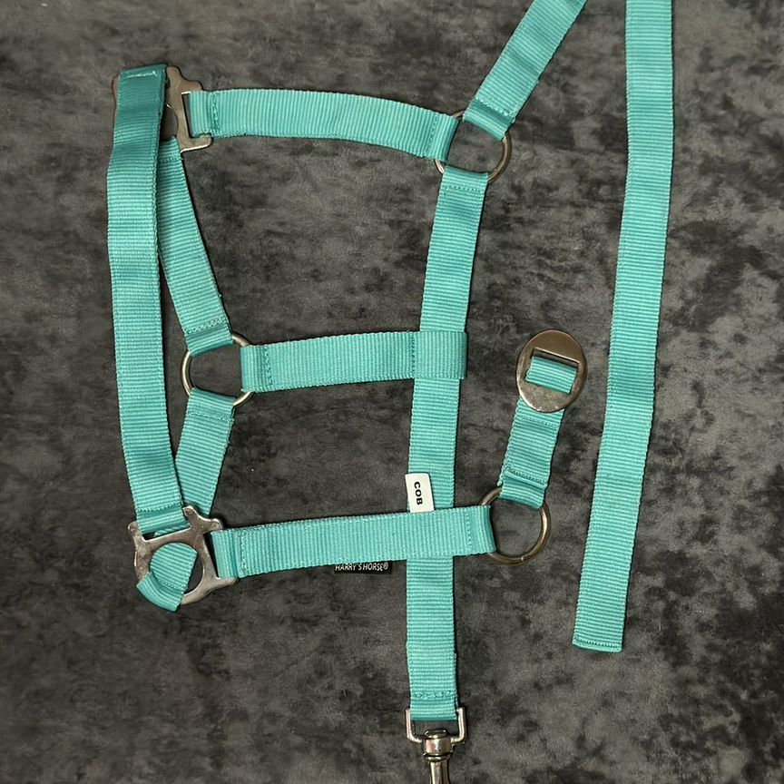 Недоуздок для лошади